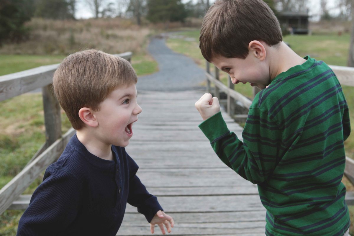 Moyers Boys {mini} | Brandy Somers Photography