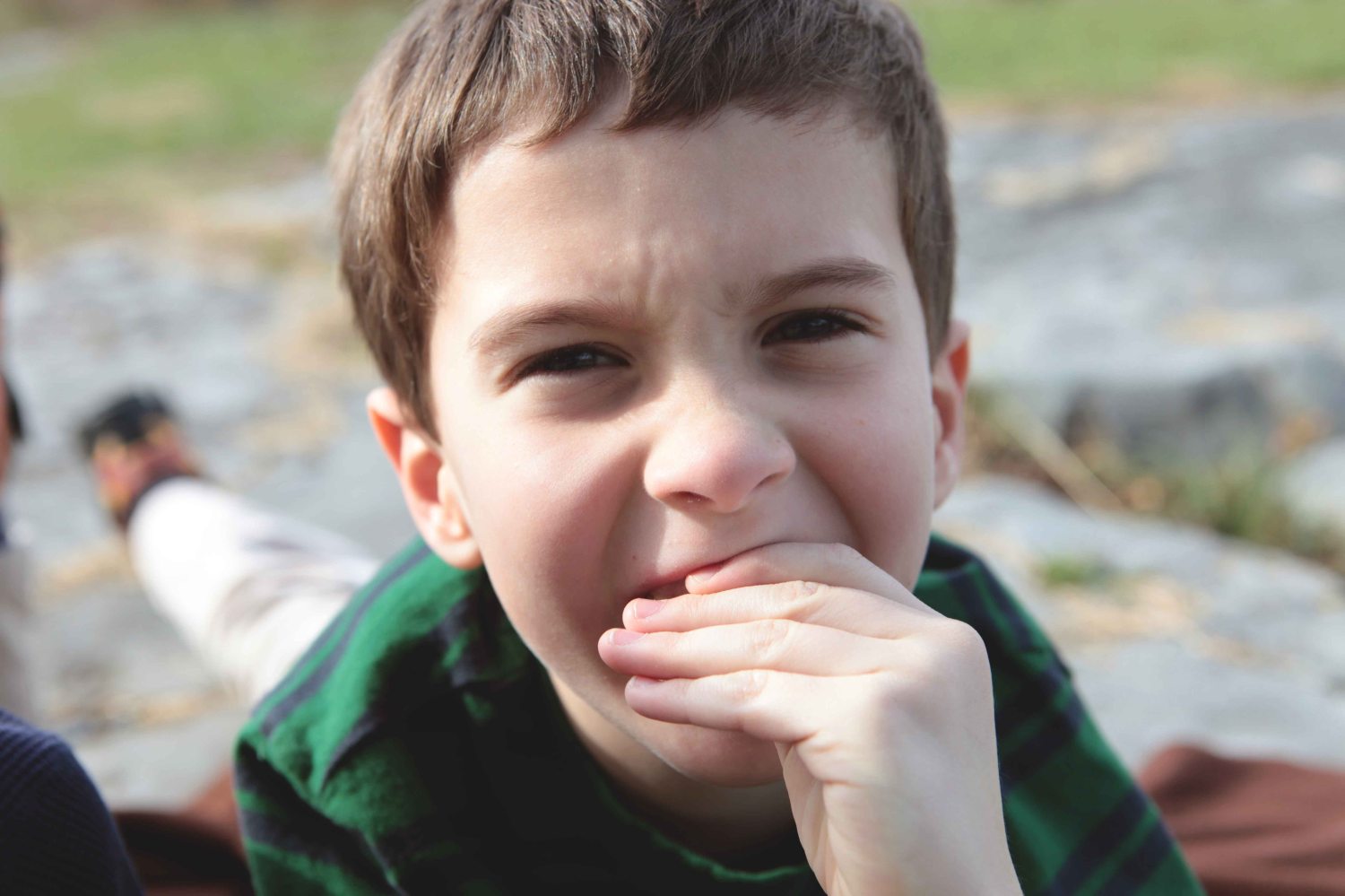 Moyers Boys {mini} | Brandy Somers Photography