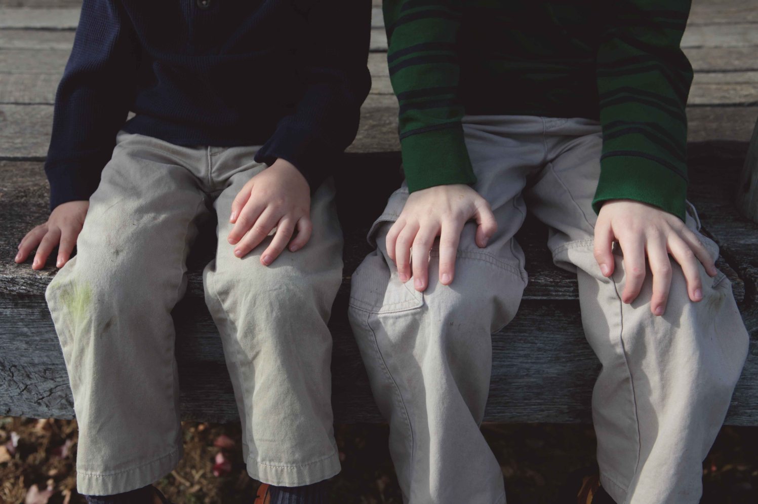 Moyers Boys {mini} | Brandy Somers Photography